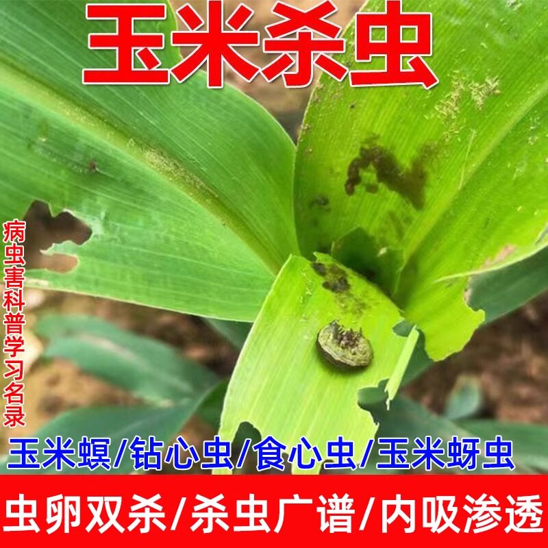 玉米虫害杀虫剂农药高氯甲维盐玉米苗地螟虫打杀玉米钻心虫打虫药