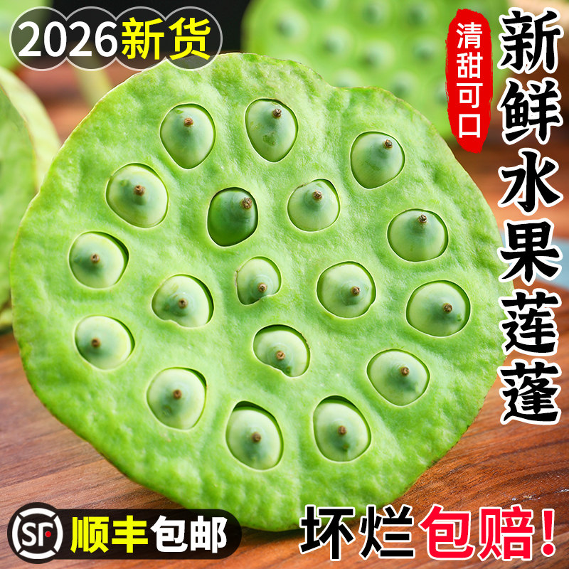 新鲜水果莲蓬3斤当季现摘湘莲生吃甜嫩莲子米太空莲蔬菜顺丰包邮