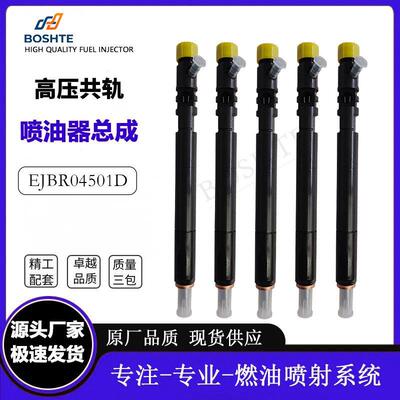 EJBR04501D适用于喷油器德尔福韩国双龙爱腾喷油嘴总成A664017012