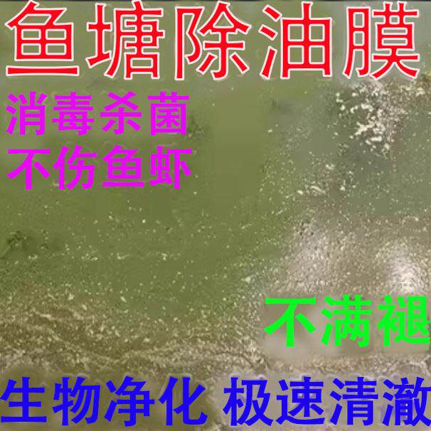 鱼塘除油膜池塘改底解毒改善水质净化剂清除铁锈去碱藻消毒杀菌剂