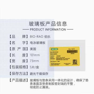 Bio-Rad伯乐1653308电泳玻璃板