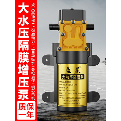 益晨12V电动喷雾器高压水泵
