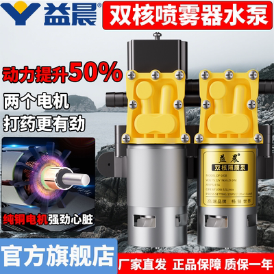 益晨高压双泵12v喷雾器水泵打药大压力电动喷雾器配件大全大功率