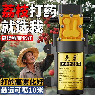 荔枝打药泵8升增压打的更高更远