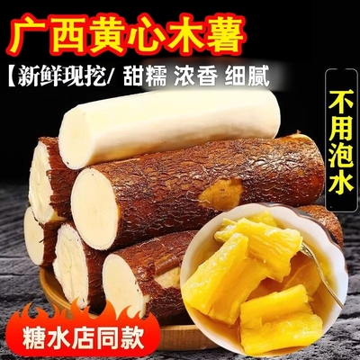 正宗广西黄心木薯新鲜现挖木薯