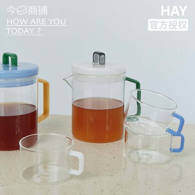 HAYBrew耐热玻璃水壶拼色