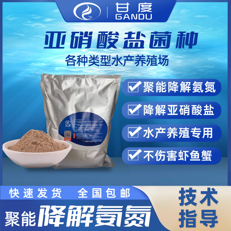 甘度降氨氮水产亚盐菌种好氧硝化细菌调节肥水稳定水质底泥调节剂