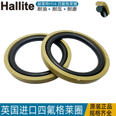 英国赫莱特H54四氟方形圈活塞封