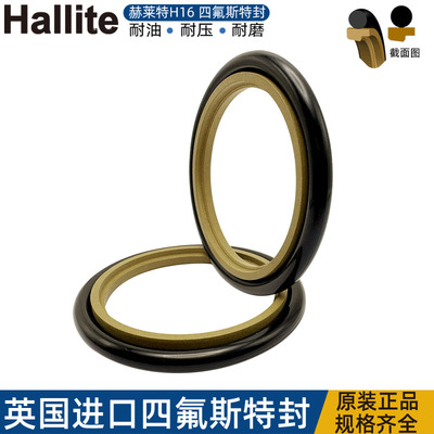 英国赫莱特H16四氟方形圈斯特封