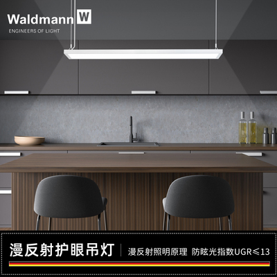 德国沃达迈Waldmann儿童漫反射多功能护眼灯学生学习书桌饭厅吊灯