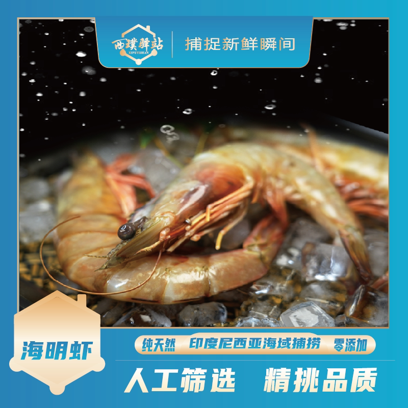 【野捕海明虾500克】原生态/绿色健康/活冻新鲜/原装进口/顺丰