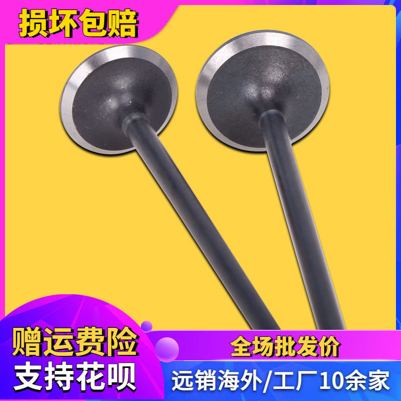 适用本田CBR250 19/22期 MC 蓝宝石 小黄蜂 进气门 排气门杆 油封