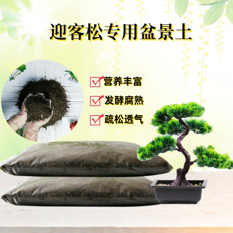 迎客松盆景真树专用土疏松肥沃家用庭院室内客厅盆栽育苗种植土