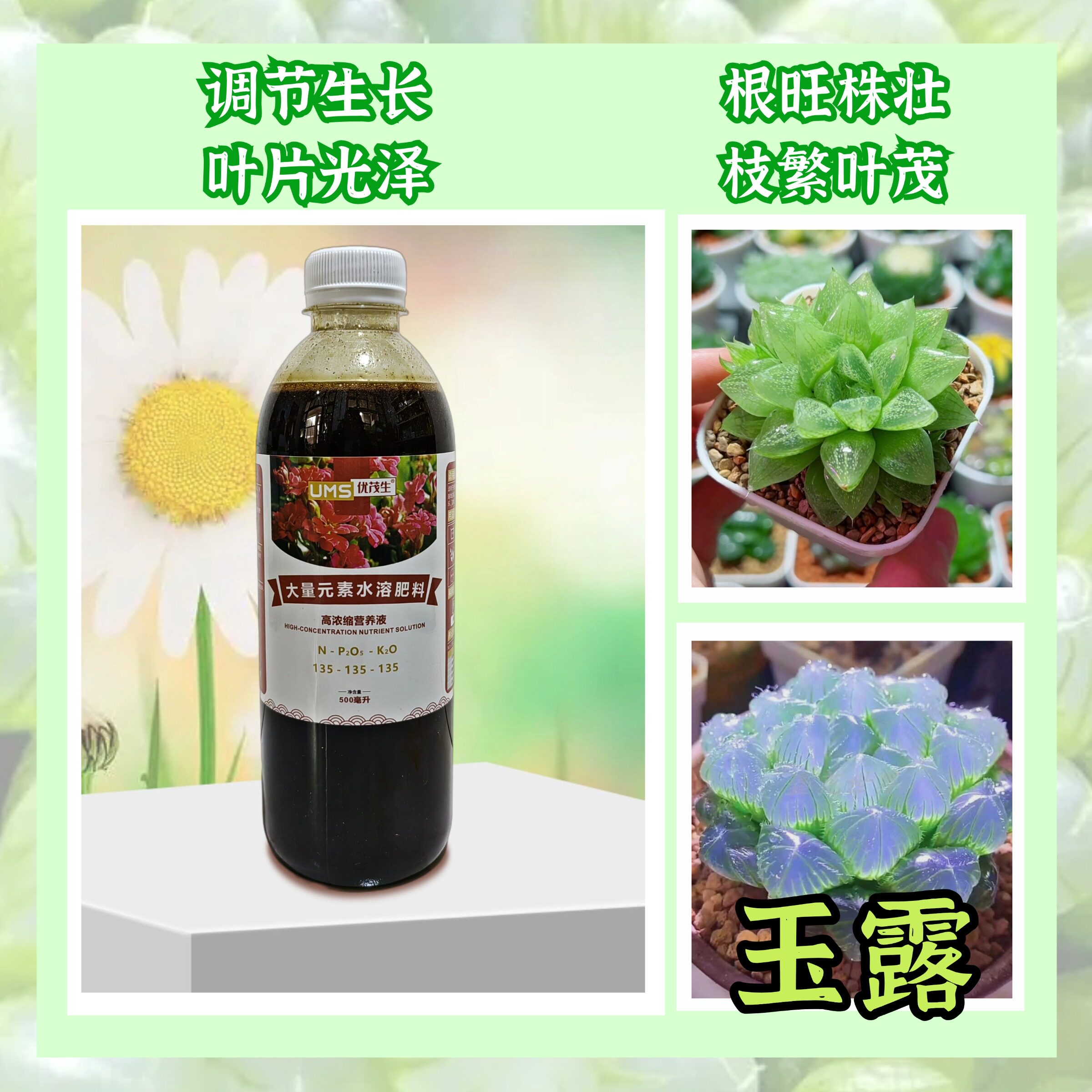 玉露营养液室内老桩盆栽专用多肉植物大量元素水溶肥料