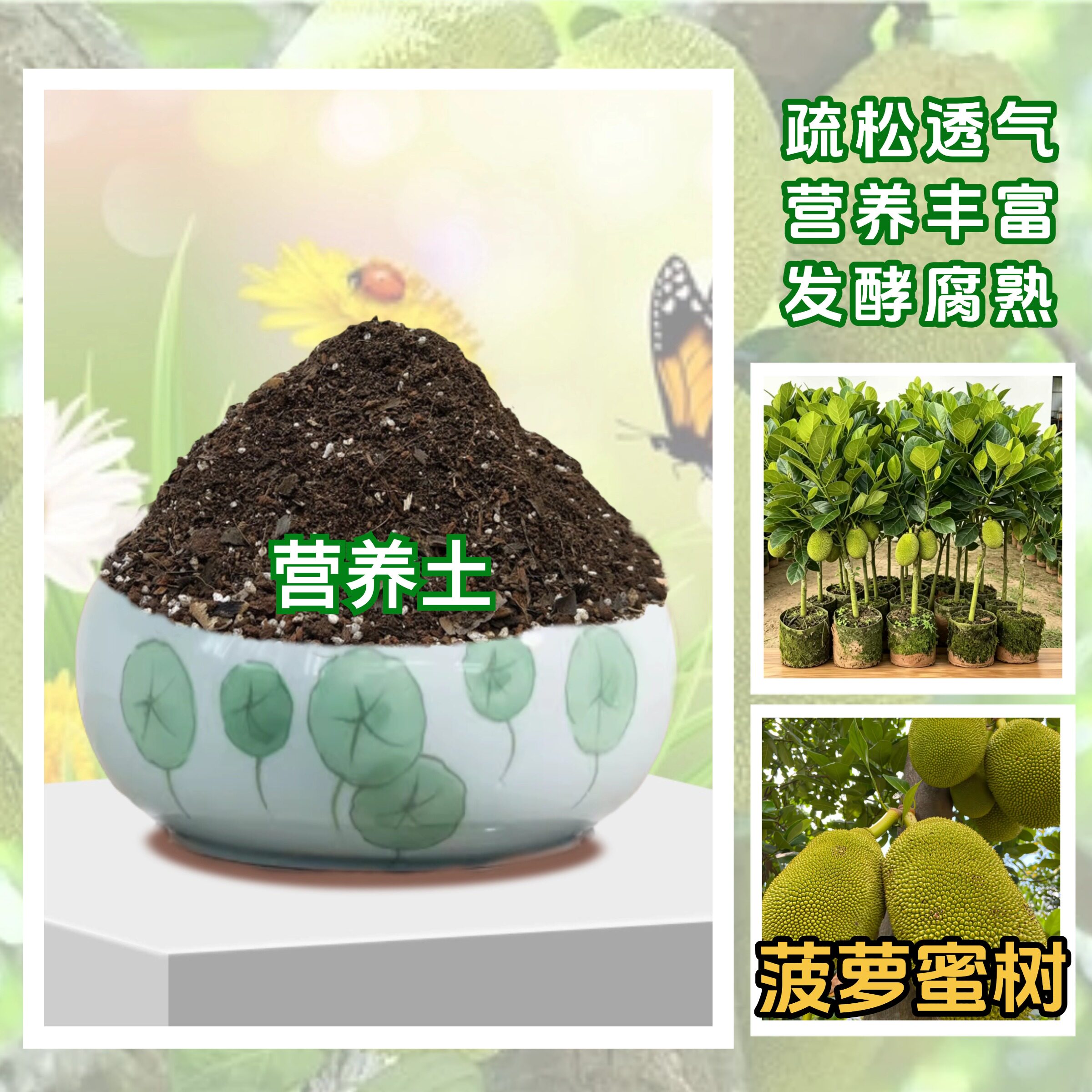 菠萝蜜树苗营养土疏松肥沃庭院盆栽地栽大树植物专用果树种植土