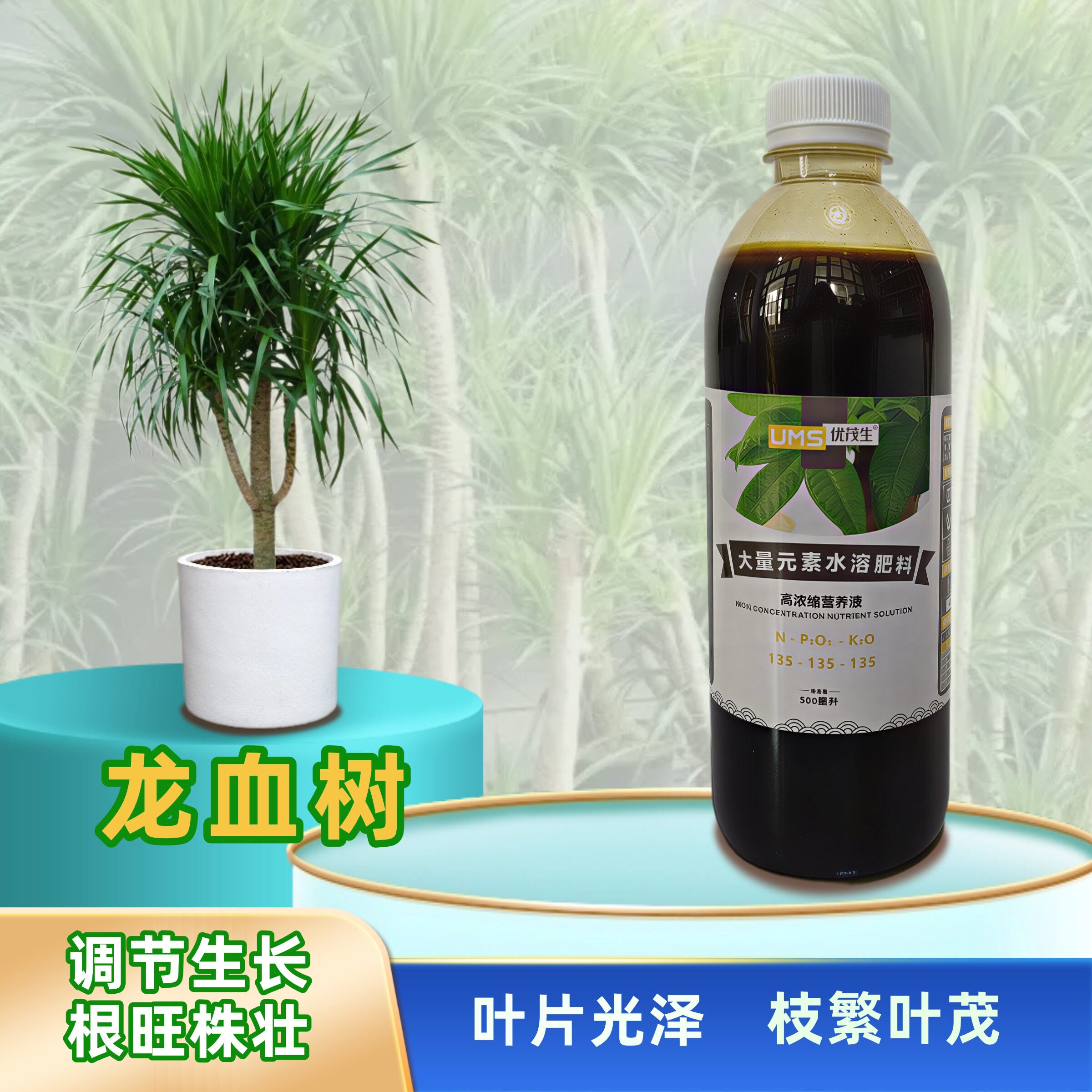 多头造型龙血树龙须树营养液盆栽绿植物专用大量元素水溶肥料