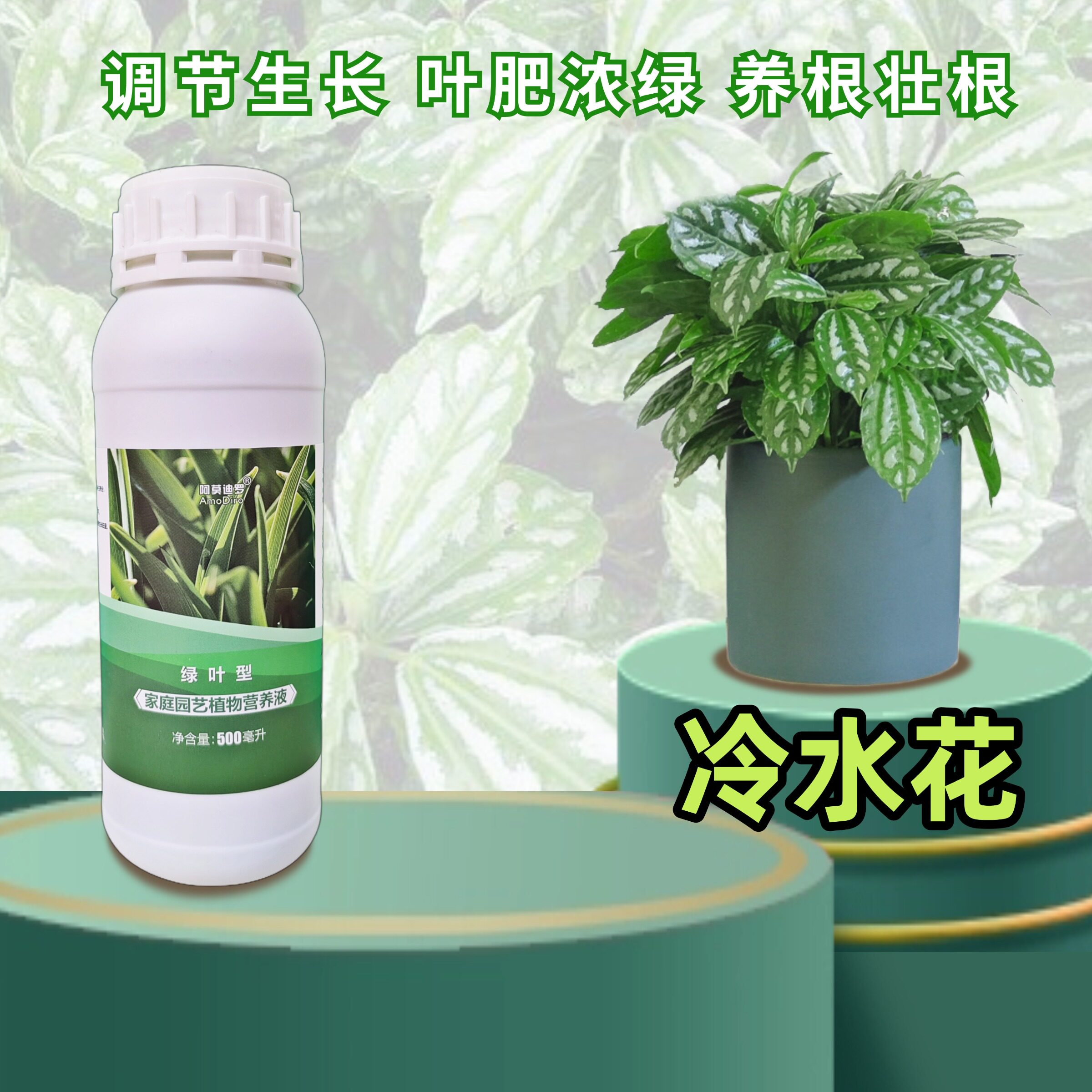 冷水花营养液室内小叶皱叶灰绿花叶盆栽绿植物专用多元素花卉肥料