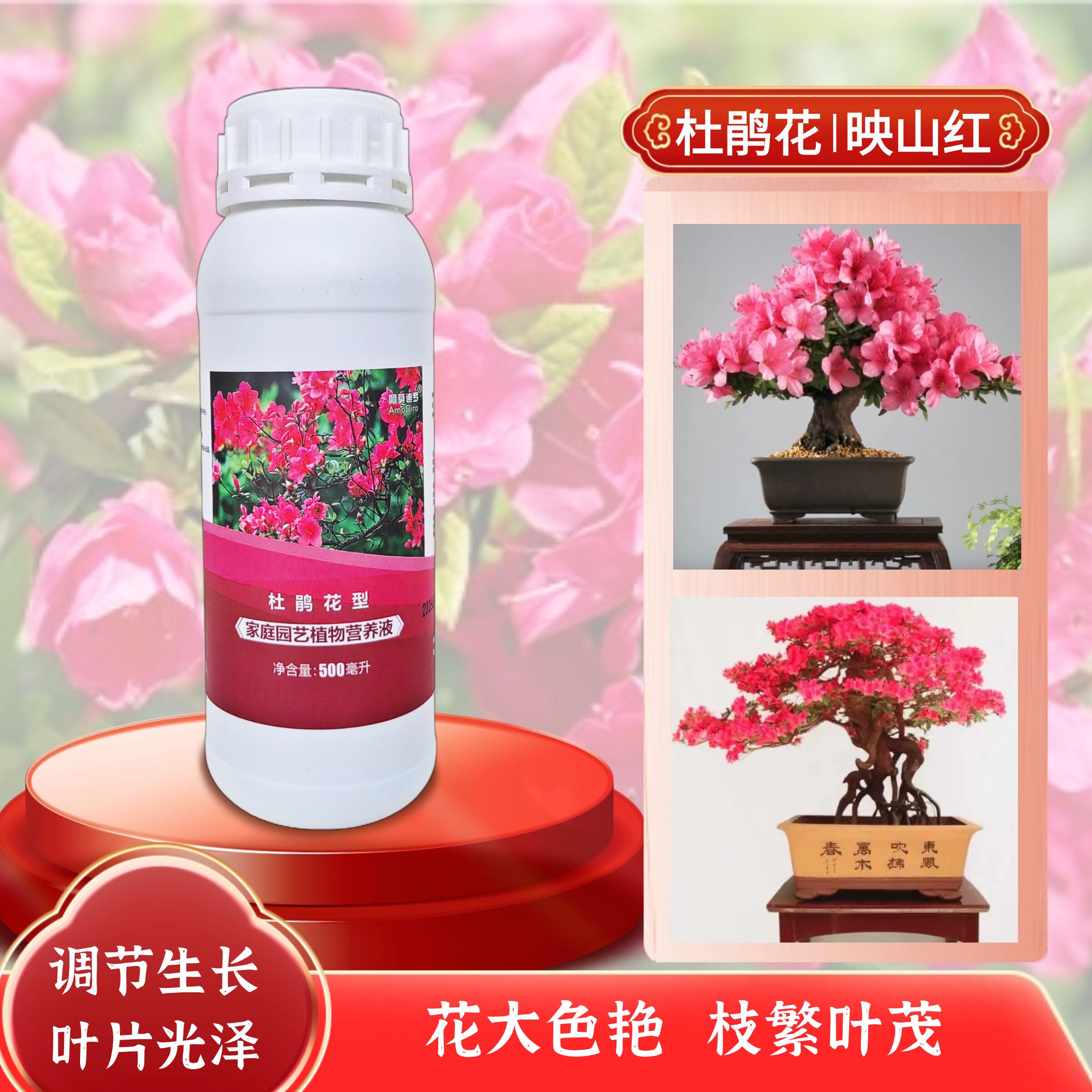 映山红树苗老桩杜鹃花营养液庭院四季名贵盆栽专用花卉肥料