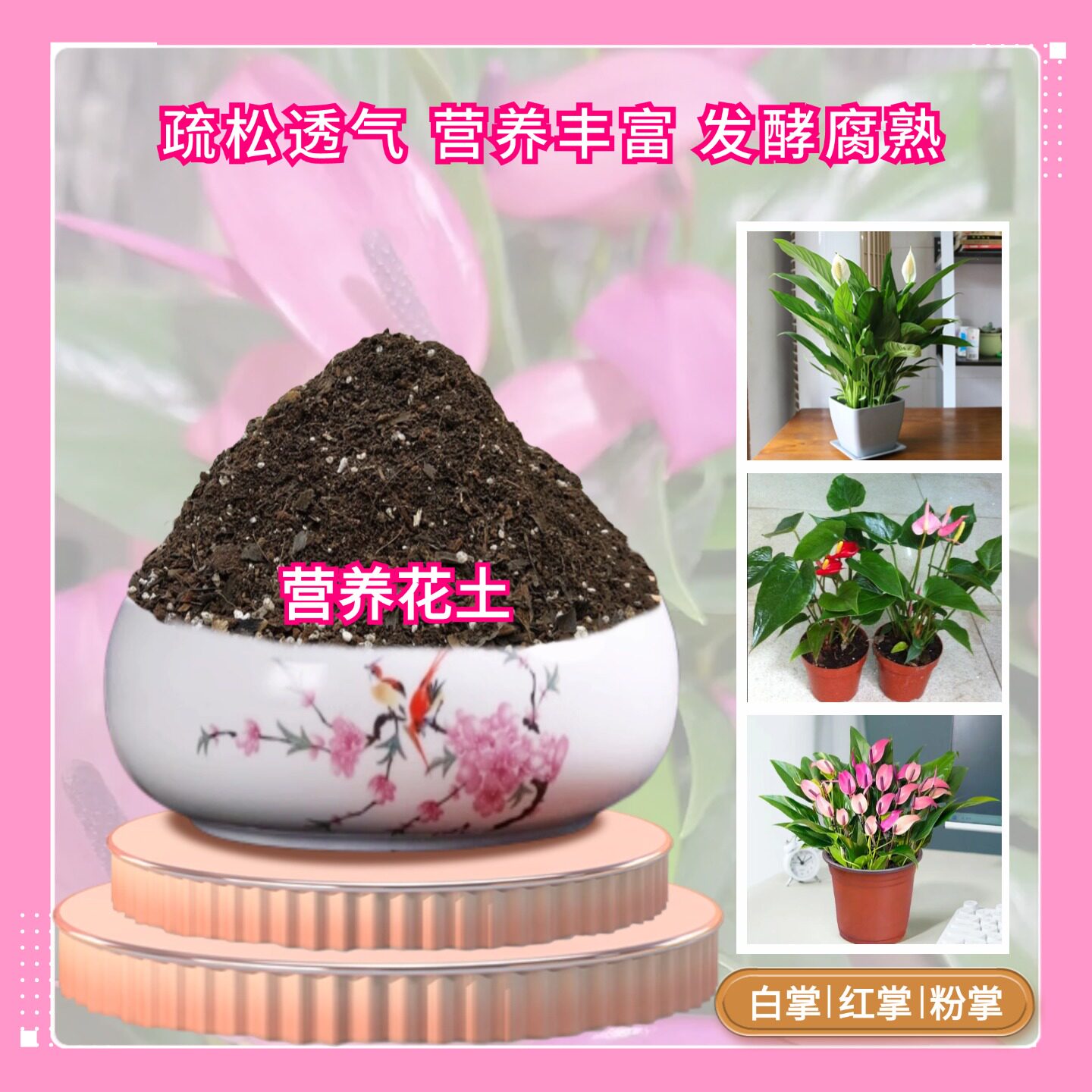 白掌一帆风顺白鹤芋红掌粉掌紫掌彩掌绿掌黄掌盆栽专用营养花土