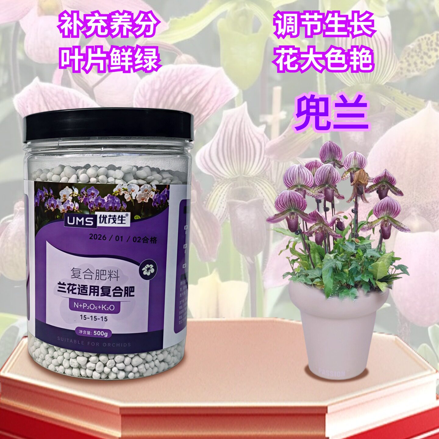 兜兰复合肥玉女红绿肉饼魔帝硬叶紫纹麻栗坡盆栽专用花卉肥料