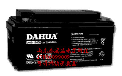 DAHUA大华12V65AH蓄电池DHB12650电信系统 UPS电源锂电电池电瓶
