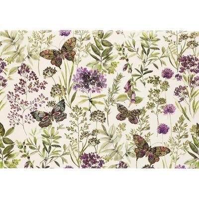 紫水晶蝴蝶 明信片信封贺卡 文创周边 Peter Pauper Press 英文原版  Amethyst Butterflies Note Cards