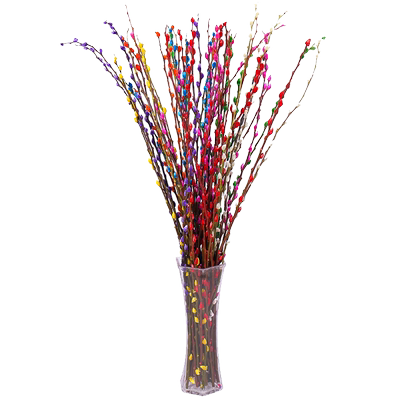 鲜枝客厅银柳真花奥易