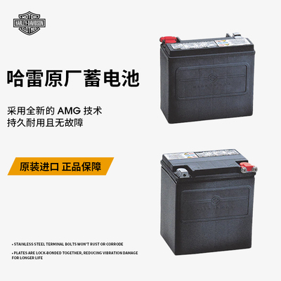 哈雷原厂电瓶电池8831200软尾