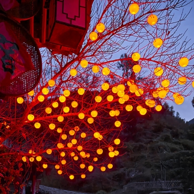 太阳能柿子苹果灯串26新款