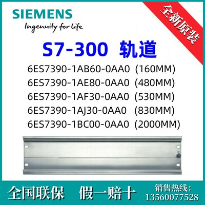 6ES73901AE800AA0西门子6ES7390-1AE80-0AA0 /S7-300 轨道=480MM