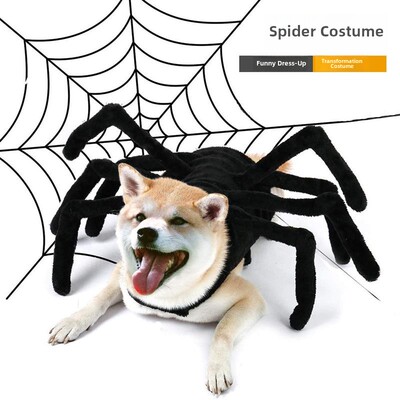 PetcostumHawnfypiderh