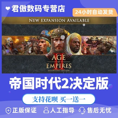 正版游戏帝国时代决定