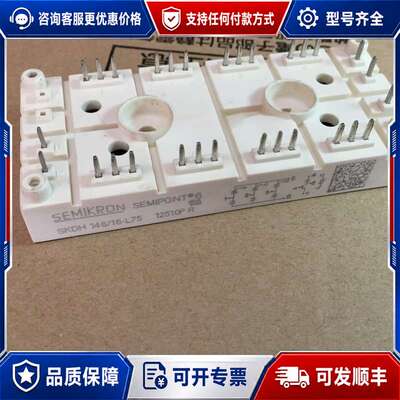 议价SKDH146/16-L75 SKDH116/16-L75可维修