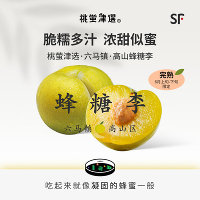 六马镇宁高山区！正宗蜂糖李礼盒