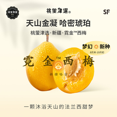黄金西梅！新疆霓金西梅礼盒