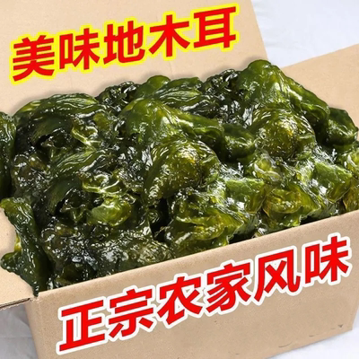 免洗地皮菜100g地衣木耳地达菜