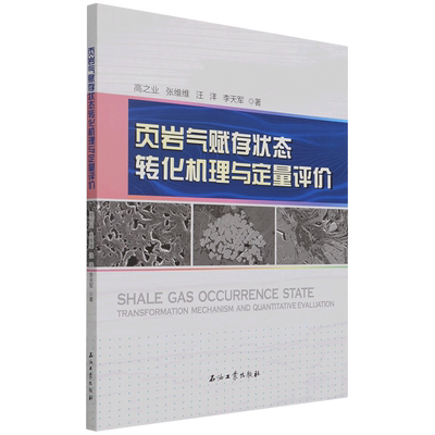 页岩气赋存状态转化机理与定量评价