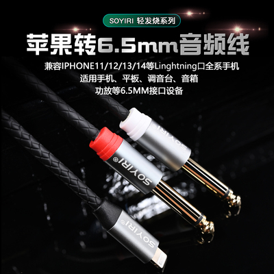 SOYIRI苹果转双6.35mm音频线