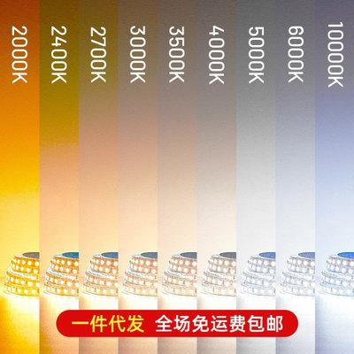2000K2700K3000K3500K4000K5000K6000K灯带暖光中性光led低压灯条
