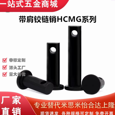 HCMG系列带肩铰链销68-1