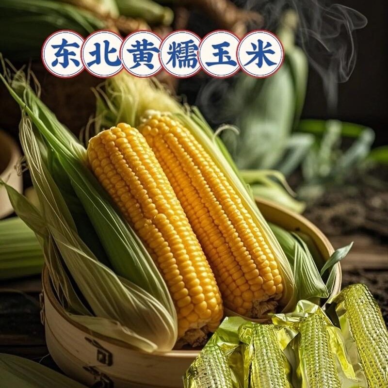 东北糯玉米新鲜黄糯玉米棒子黏糯玉米棒子带叶整根5斤包邮
