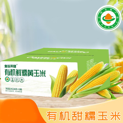 金谷开甜东北2025年新鲜甜糯玉米有机非转基因黑糯玉米黄糯玉米
