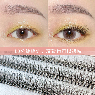 Dark Swan睫毛02款 嫁接睫毛女自然仿真单簇假睫毛重复使用