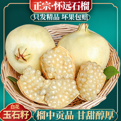 怀远石榴百花玉石籽石榴软籽甜