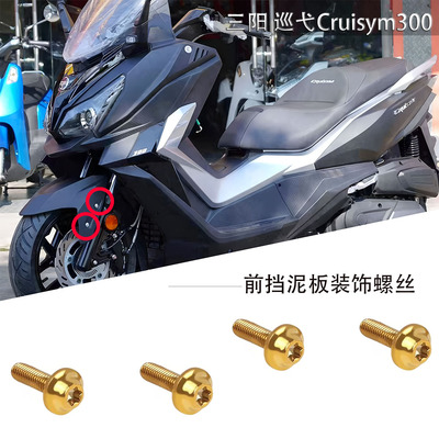 适用摩托车三阳巡弋 Cruisym300 改装前挡泥板甩水挡板不锈钢螺丝