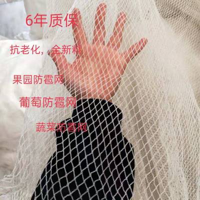 农用果园防鸟网葡萄樱桃鱼虾蟹