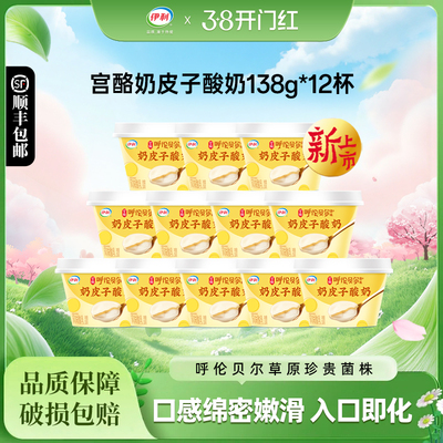 伊利宫酪奶皮子酸奶138g*12杯呼伦贝尔草原珍贵菌株发酵乳