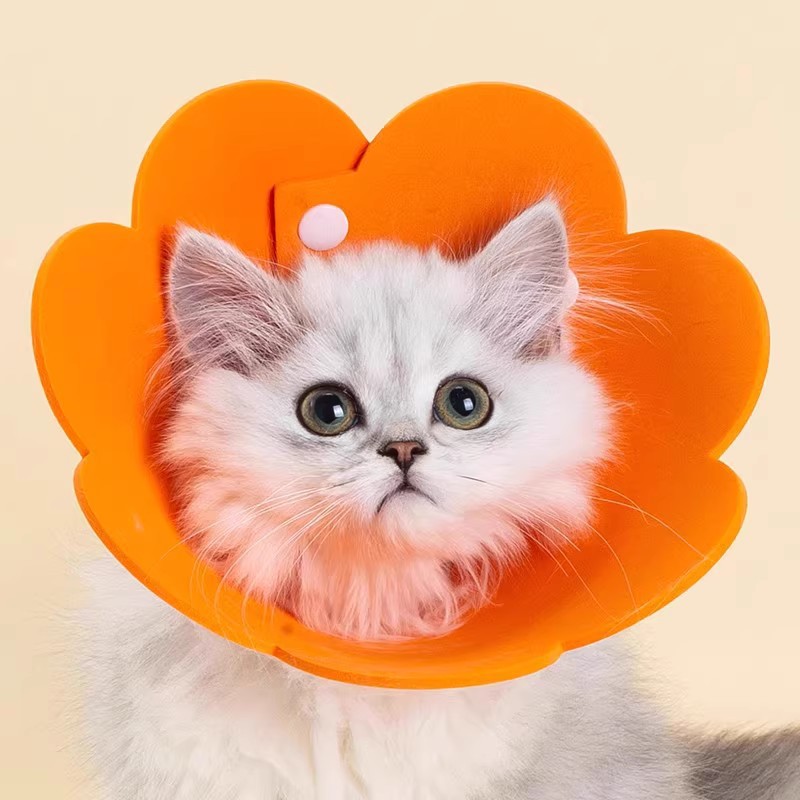 猫咪项圈伊丽莎白圈防舔头套狗狗伊莉伊利沙羞耻脖圈绝育宠物用品