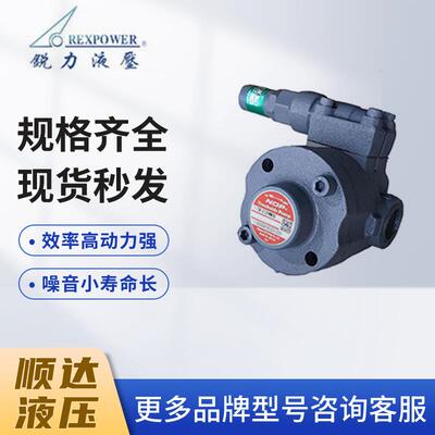 新款液压泵REXPOWER摆线齿轮泵RBB-450/465/480润滑包邮
