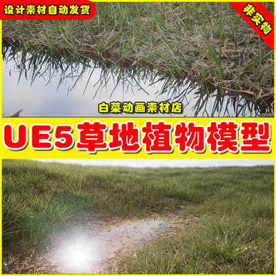 UE5 Nanite Grass Vol.1 森林草地植物设计素材模型5.3版本